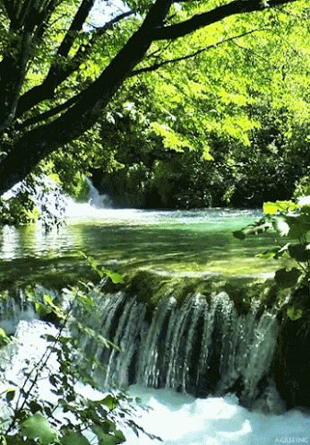 Biome GIF - Conseguir o melhor gif em GIFER