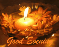 Evening GIFs - Get the best gif on GIFER
