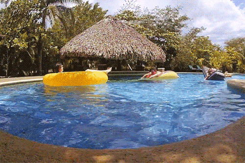 Pjcostarica GIF - Conseguir o melhor gif em GIFER