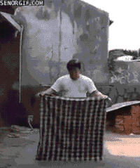 Blanket GIFs - Get the best gif on GIFER