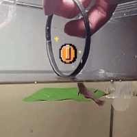 Betta GIFs - Get the best gif on GIFER
