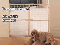 Mesh GIFs - Get the best gif on GIFER