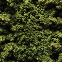 Weed GIFs - Get the best gif on GIFER