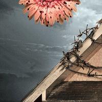 Lifetime GIFs - Get the best gif on GIFER