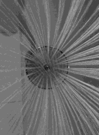 Shower GIFs - Get the best gif on GIFER