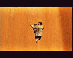 Mcg GIFs - Get the best gif on GIFER