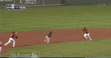 Springtraining GIFs - Get the best gif on GIFER