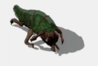 Behemoth GIFs - Get the best gif on GIFER