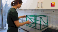 Prototype GIFs - Get the best gif on GIFER