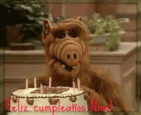 Alf GIFs - Get the best gif on GIFER