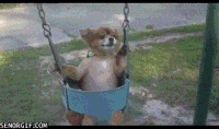 Relaxed GIFs - Get the best gif on GIFER