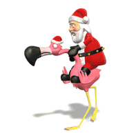 Flamingo GIFs - Get the best gif on GIFER