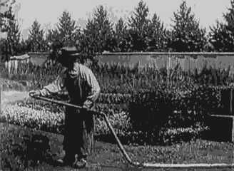 Watered GIFs - Get the best gif on GIFER