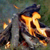 Halftone GIFs - Get the best gif on GIFER