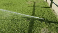 Sprinkler GIFs - Get the best gif on GIFER