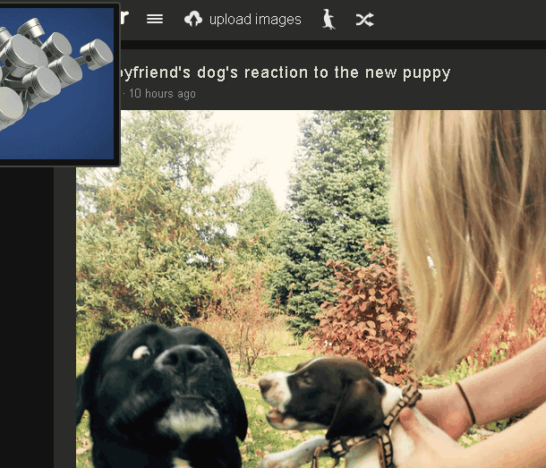 Mouseover GIFs - Get the best gif on GIFER