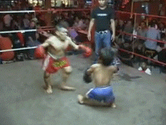Midget GIFs - Get the best gif on GIFER