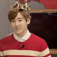 Mit GIFs - Get the best gif on GIFER