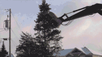 Chipper GIFs - Get the best gif on GIFER