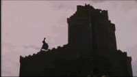 Sauteed GIFs - Get the best gif on GIFER
