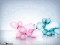 Condom GIFs - Get the best gif on GIFER