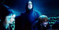 Snape GIFs - Get the best gif on GIFER