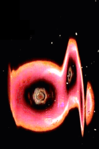 Analog photo GIFs - Get the best gif on GIFER