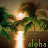 Aloha GIFs - Get the best gif on GIFER