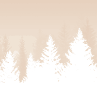 Pine trees GIF - Conseguir o melhor gif em GIFER
