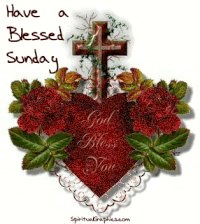 Blessed GIFs - Get the best gif on GIFER