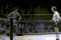 Boink GIFs - Get the best gif on GIFER