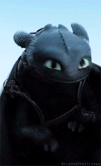 Toothless GIFs - Get the best gif on GIFER