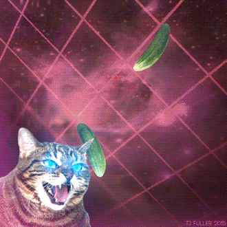 Laser cats GIF - Conseguir o melhor gif em GIFER