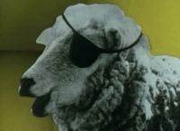 Eyepatch GIFs - Get the best gif on GIFER