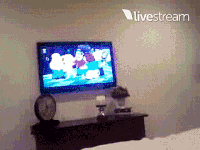 Beach fail GIFs - Get the best gif on GIFER