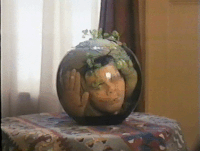 Kamillions GIFs - Get the best gif on GIFER