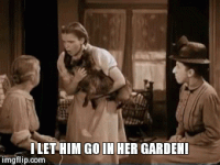 Dorothy GIFs - Get the best gif on GIFER