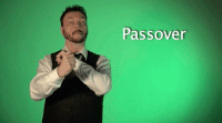 Passover GIFs - Get the best gif on GIFER
