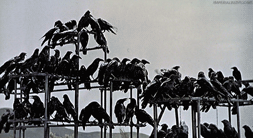 Withc GIFs - Get the best gif on GIFER