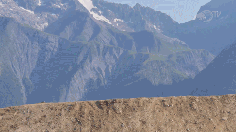 Slopestyle GIFs - Get the best gif on GIFER