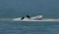 Bateau GIFs - Get the best gif on GIFER