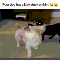 Boning гифки, анимированные GIF изображения boning - скачать гиф ...