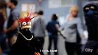Prawn GIFs - Get the best gif on GIFER
