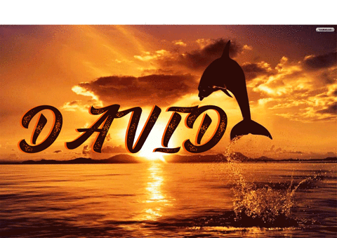 David GIFs - Get the best gif on GIFER