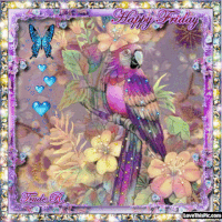 Pinterest GIFs - Get the best gif on GIFER