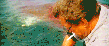 Haai GIFs - Get the best gif on GIFER