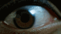 Fume GIFs - Get the best gif on GIFER