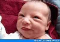 Gracioso GIFs - Get the best gif on GIFER