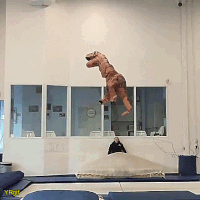 Trex GIFs - Get the best gif on GIFER