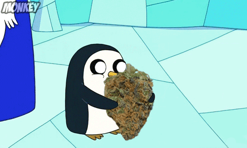 Nug GIFs - Get the best gif on GIFER